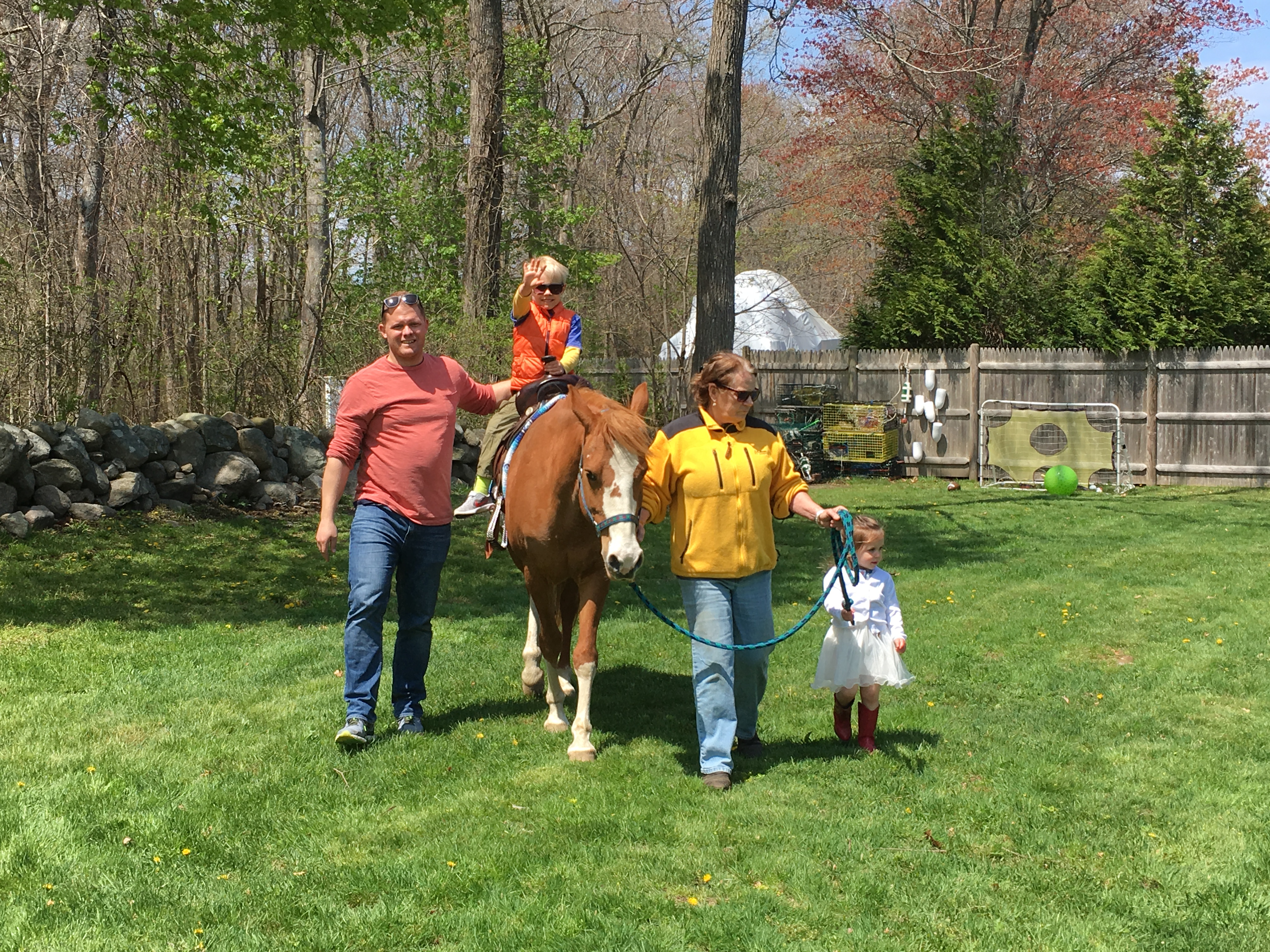 educational pony and horse programs